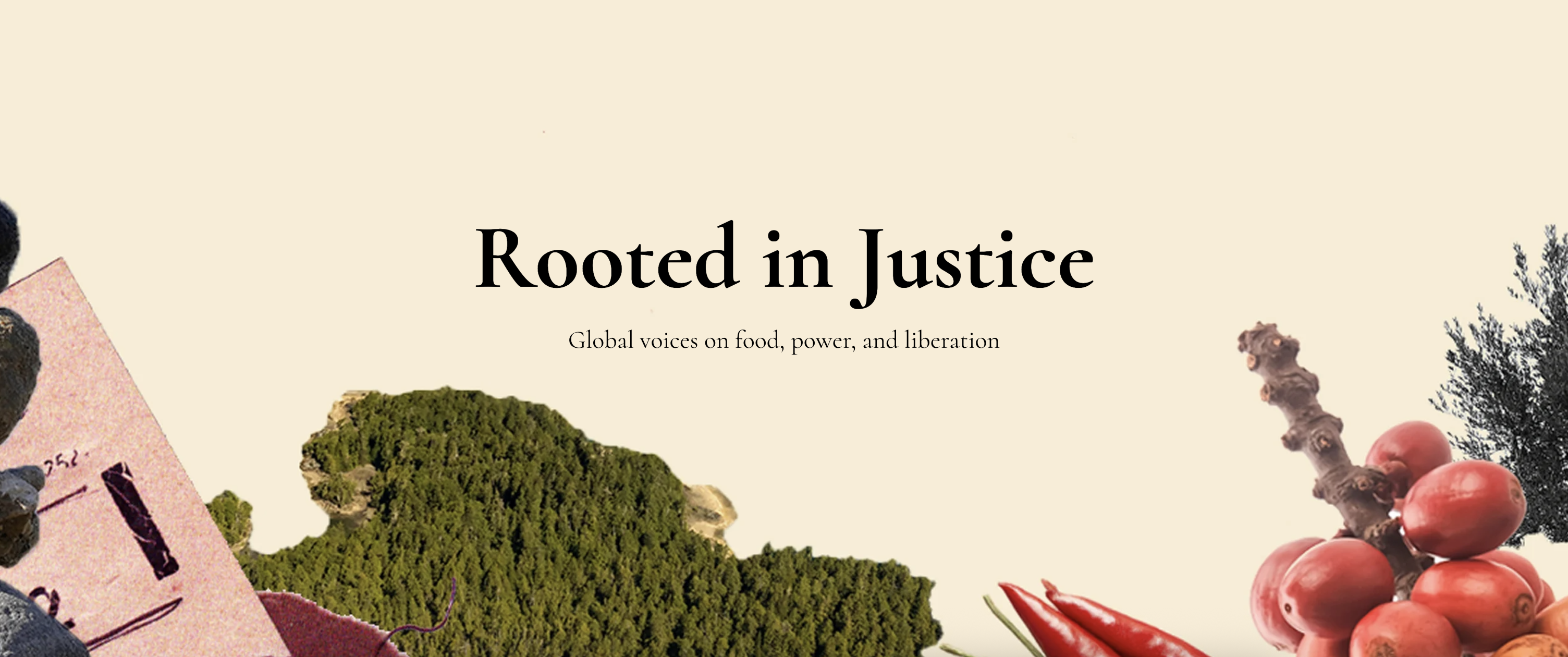 Rooted in Justice: Global voices on food, power, and liberation