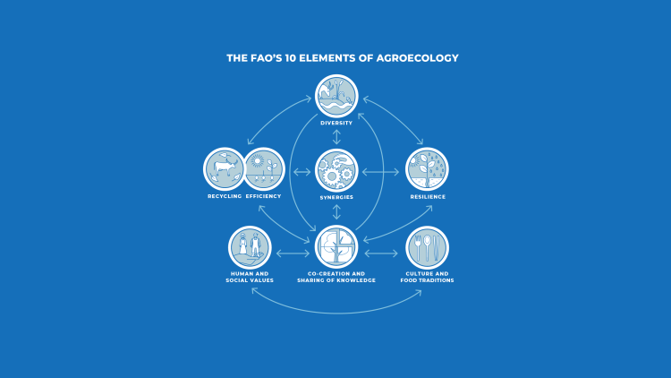 THE POLITICS OF KNOWLEDGE