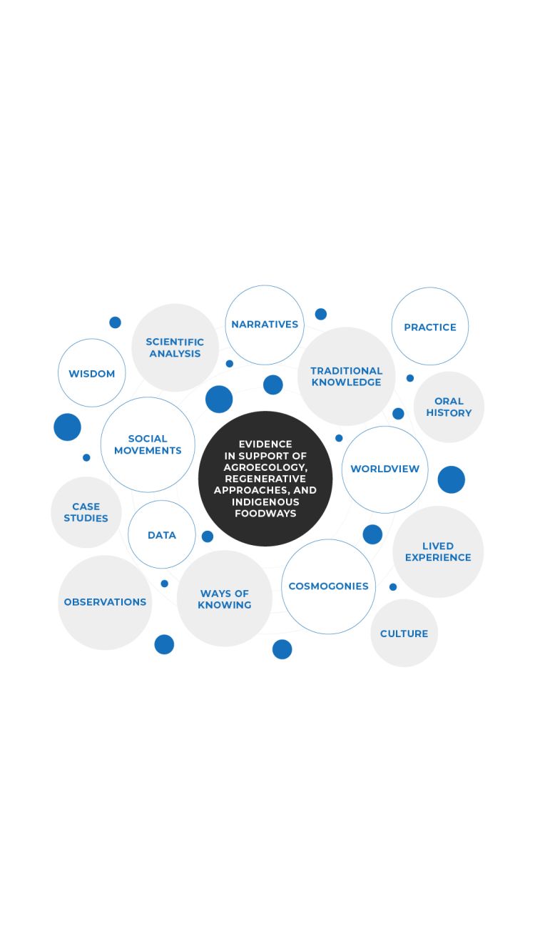 THE POLITICS OF KNOWLEDGE