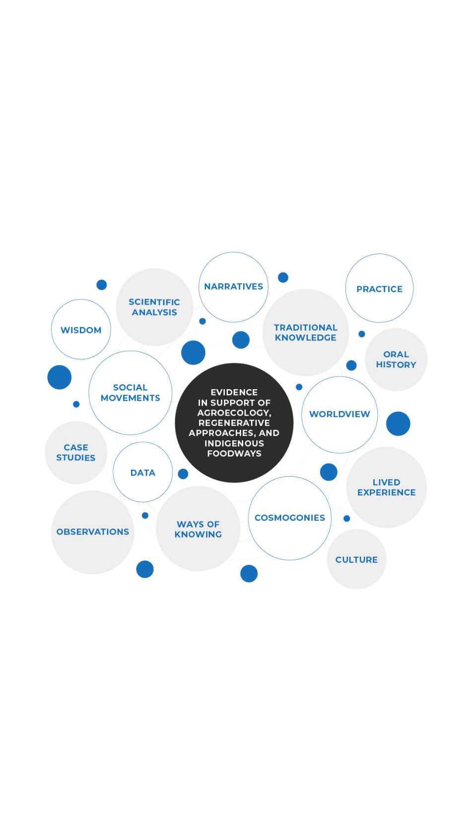 THE POLITICS OF KNOWLEDGE